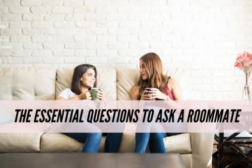 The Essential Questions to Ask a New Roommate - College Fashion