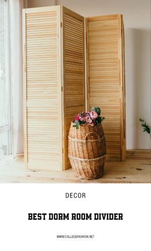 Best Dorm Room Dividers with Aesthetic Appeal